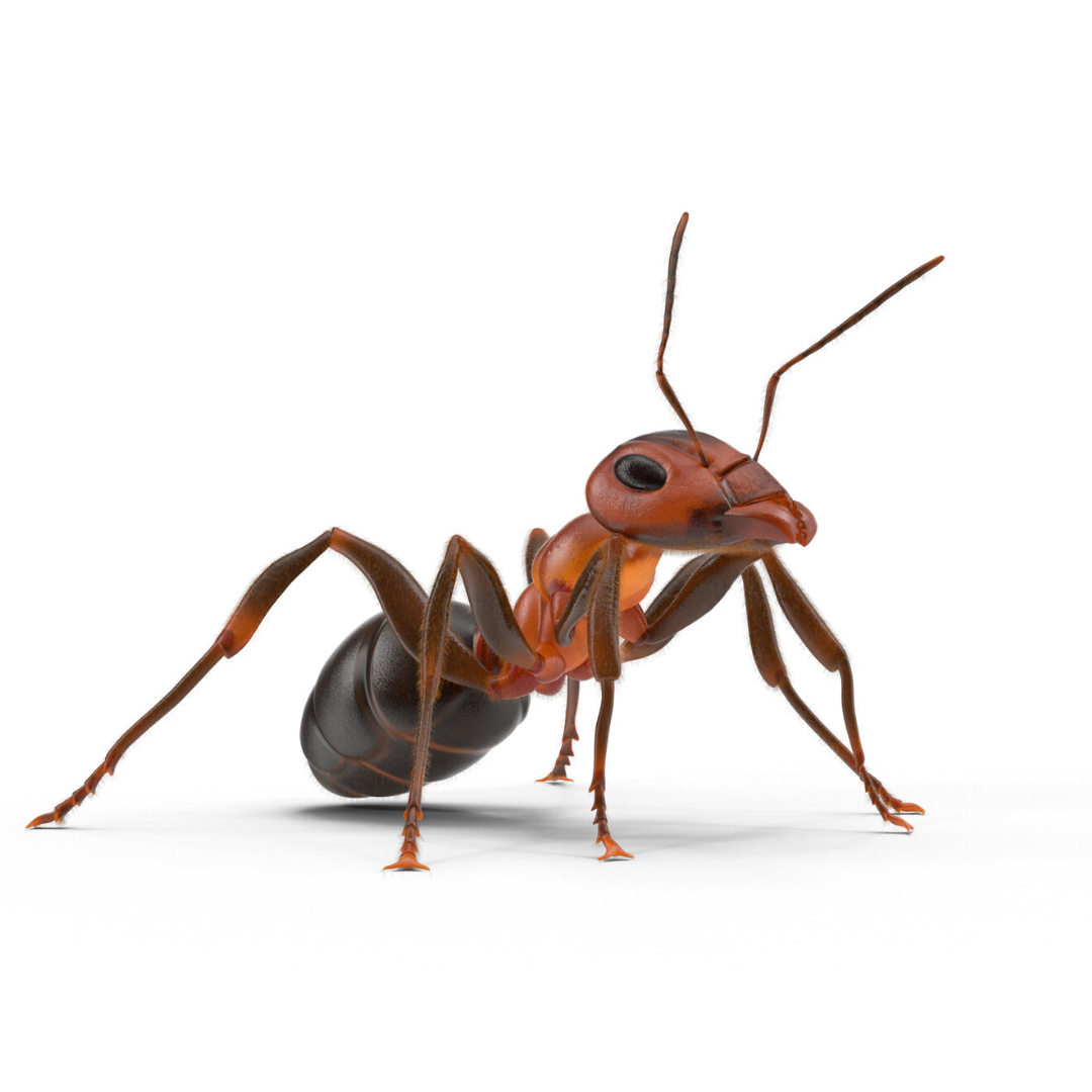 There is Never Just One – The Generosity Guy